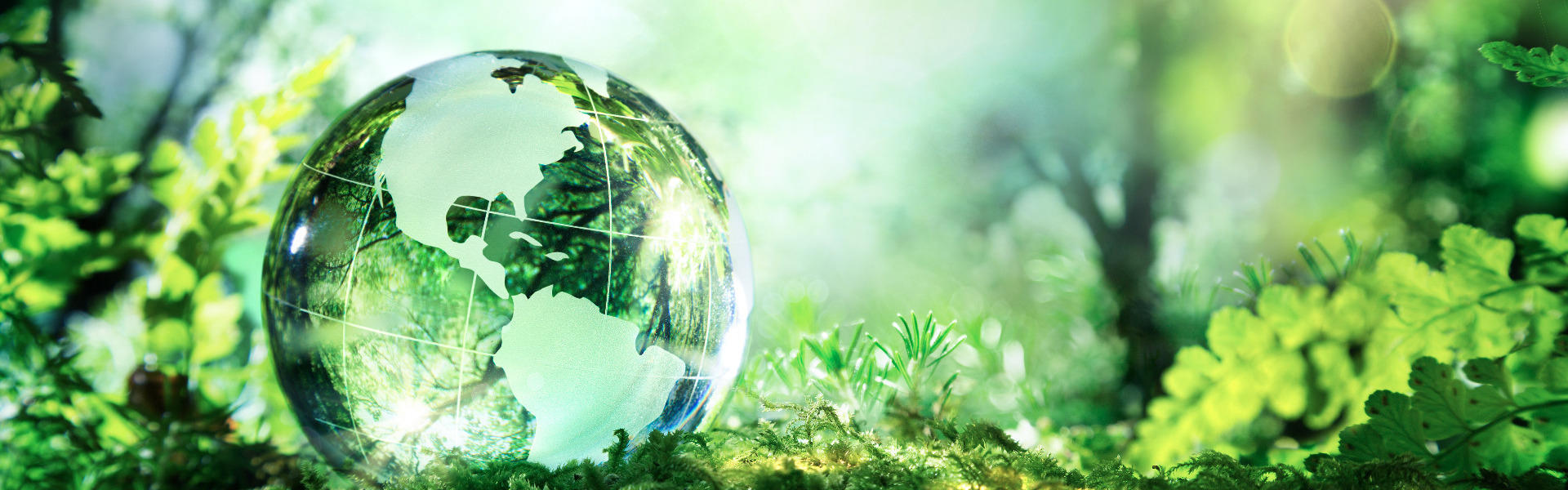 QUALITY & SUSTAINABILITY